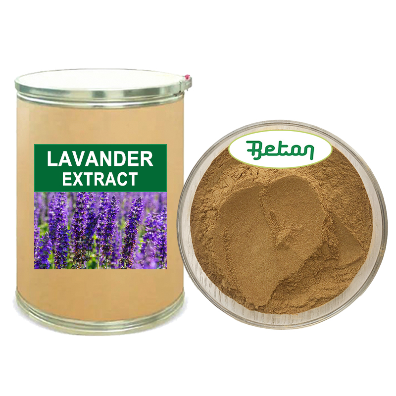 Lavender Extract - Beton Nutrition